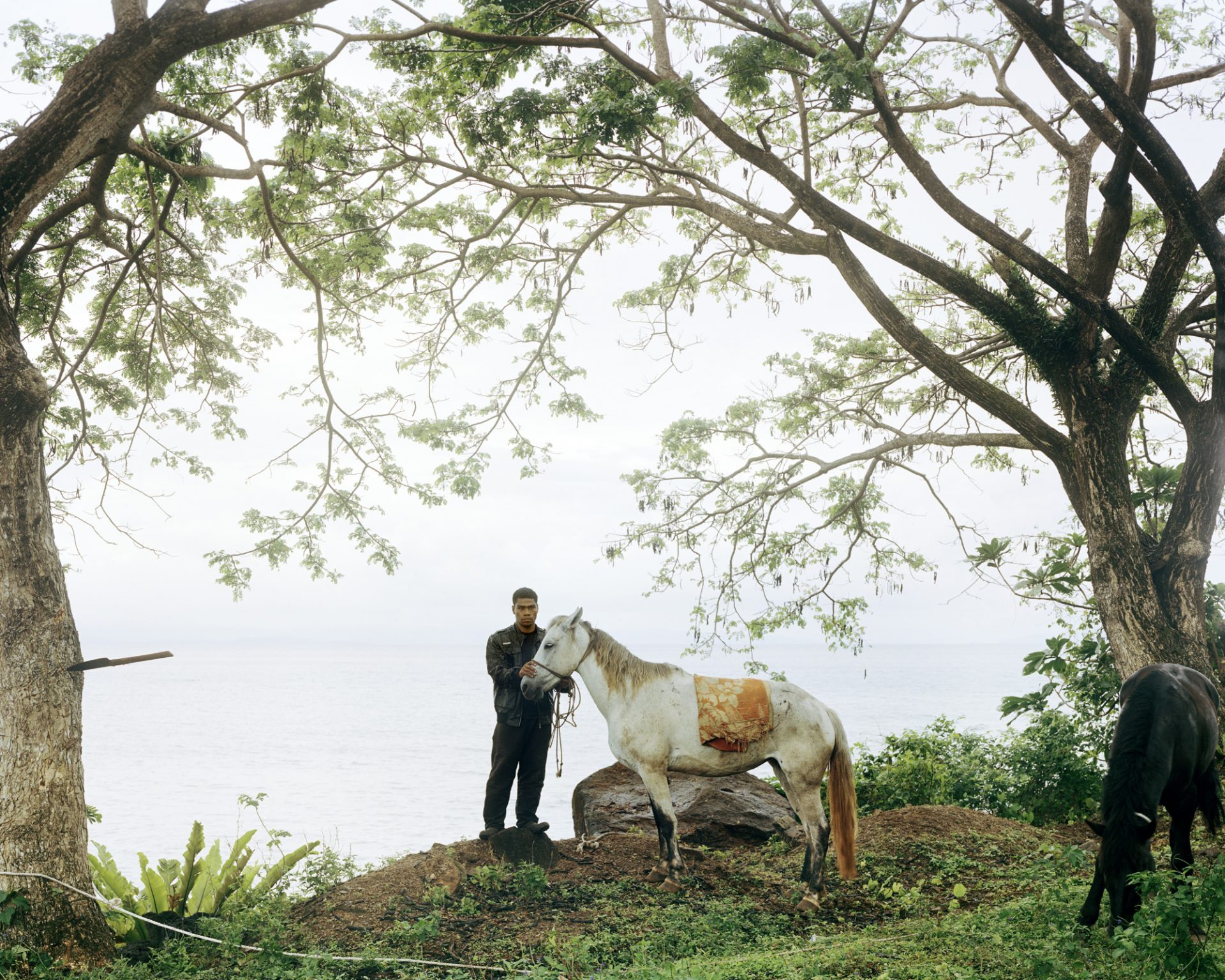 Robert Gray – Photography